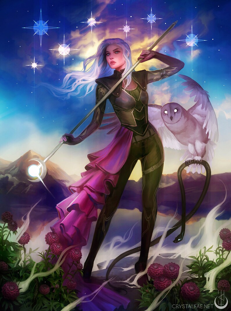 Paladin Wizard Rogue Dungeons & Dragons Fantasy Class - Etsy Canada