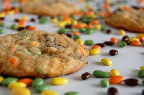 Sunbursts Rainbow Candy Coated Chocolatey Covered Sunflower Seeds - Etsy