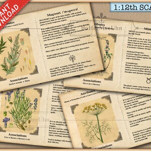 2 Books of Magical Herbs Dollhouse Mini Book 1:12, 6th 24th OPENABLE ...