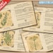 2 Books of Magical Herbs Dollhouse Mini Book 1:12, 6th 24th OPENABLE ...