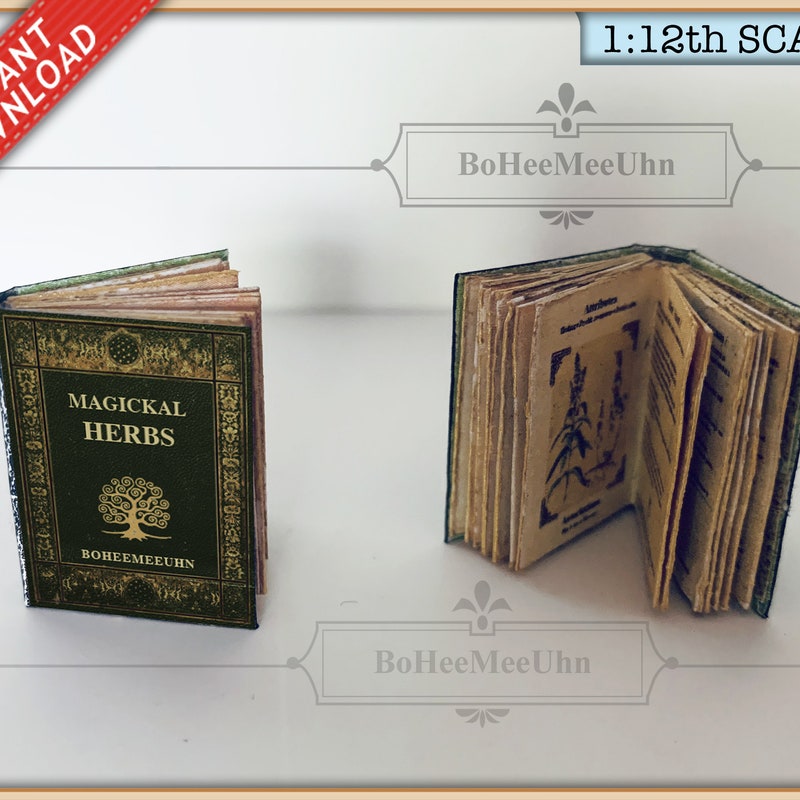 Miniature Book - Etsy