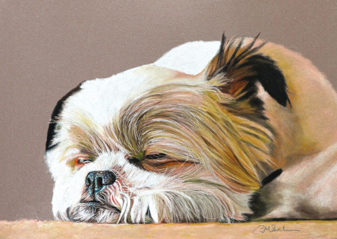Dog Nap (A4 Size Pastel Drawing on Pastelmat Paper) - Etsy
