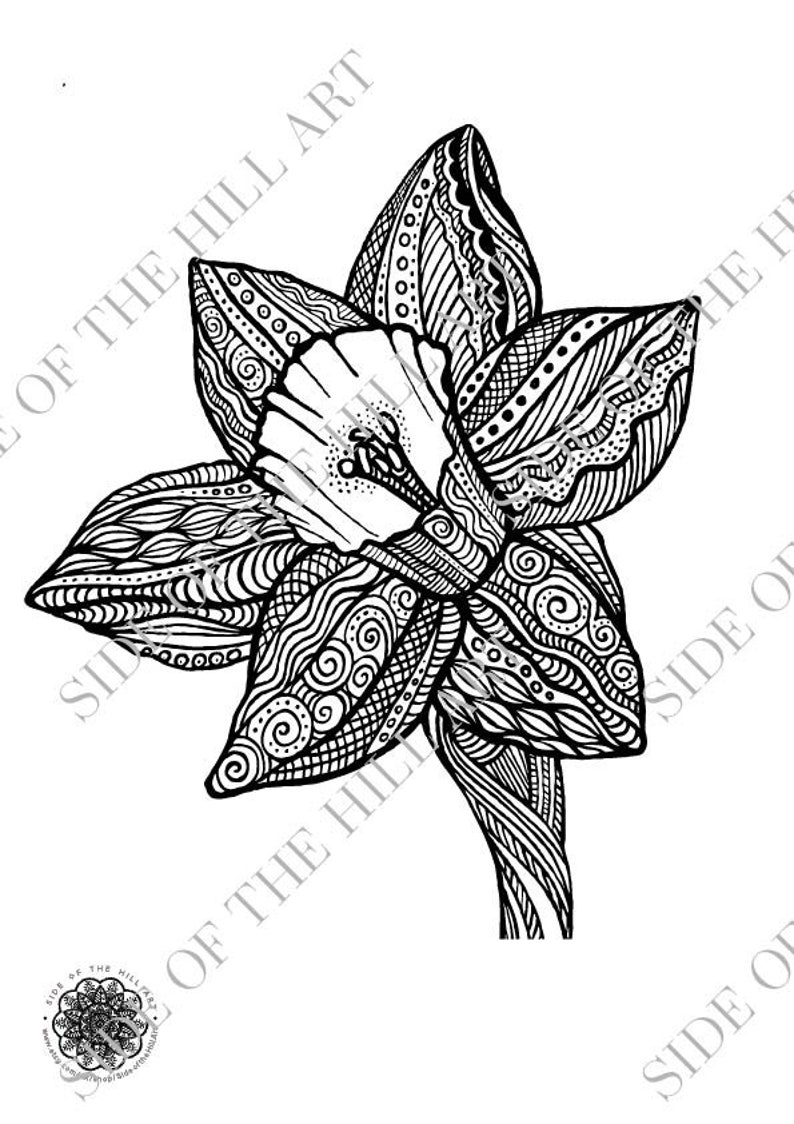 Mindful Colouring Pages Flowers and Leaves, Botanical Colouring - Etsy UK