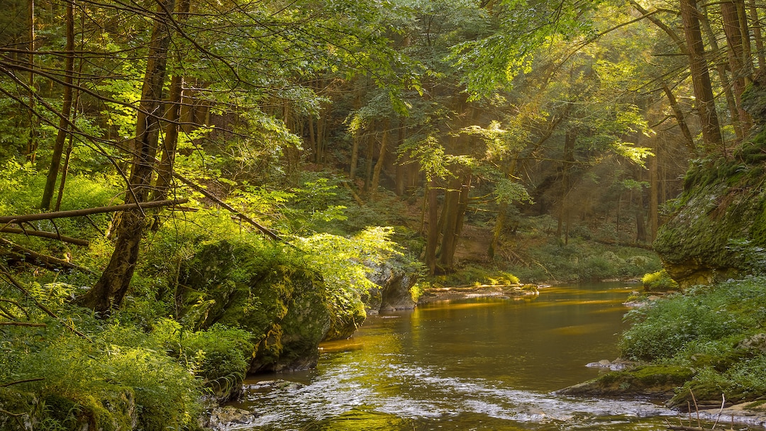 Digital Download: Summer Stream Photo - Etsy