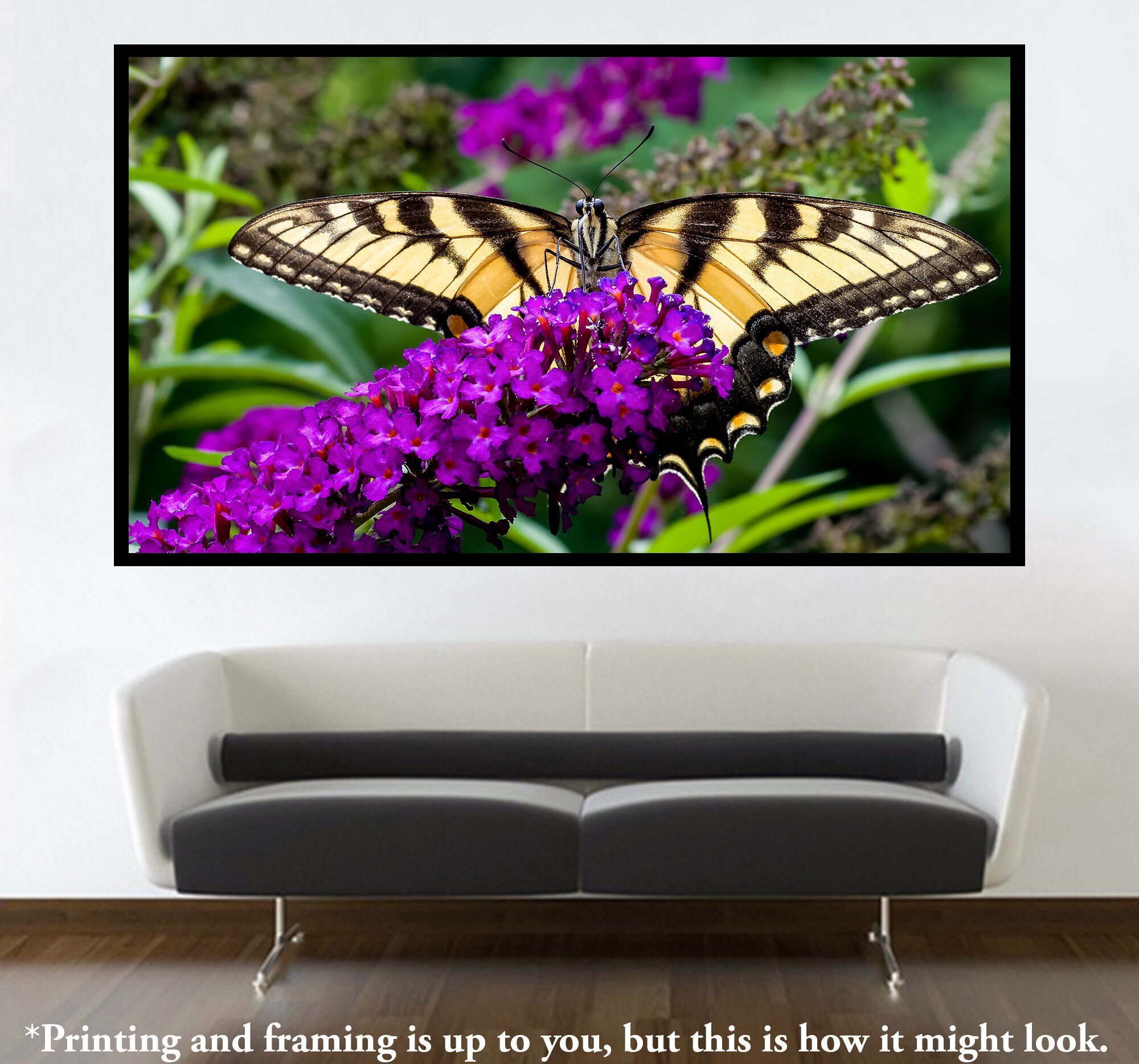 Digital Download: Tiger Swallowtail Butterfly Photo - Etsy