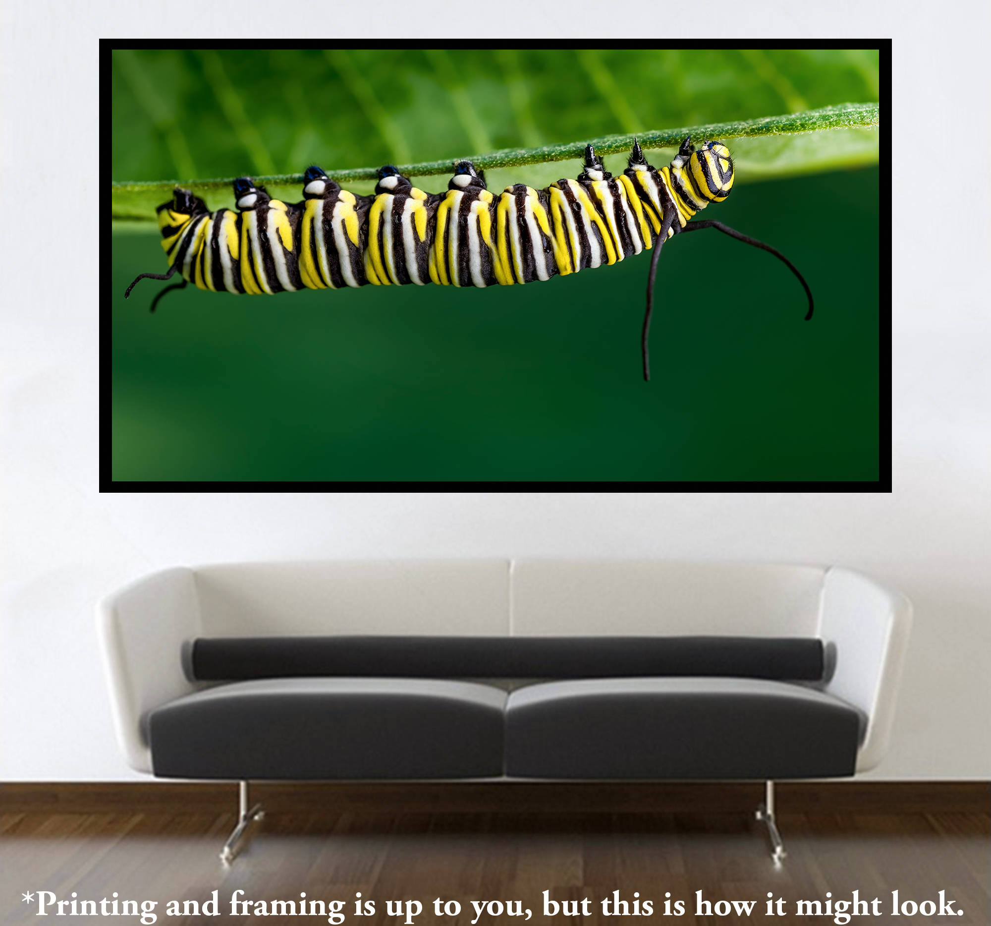 Digital Download: Monarch Butterfly Caterpillar Photo - Etsy
