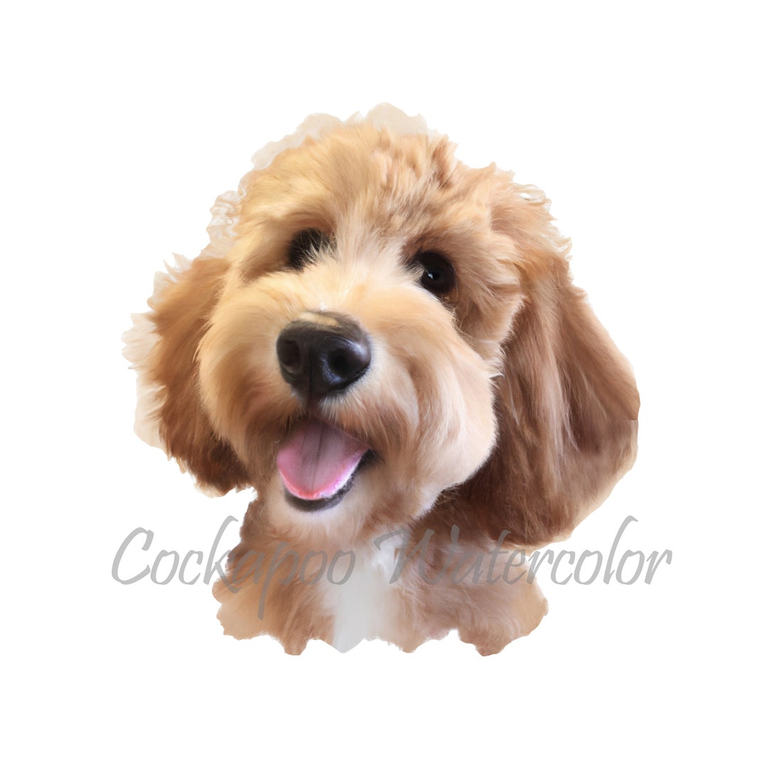 Cockapoo Watercolour Dog Graphic – Illustration, Commercial Use ...