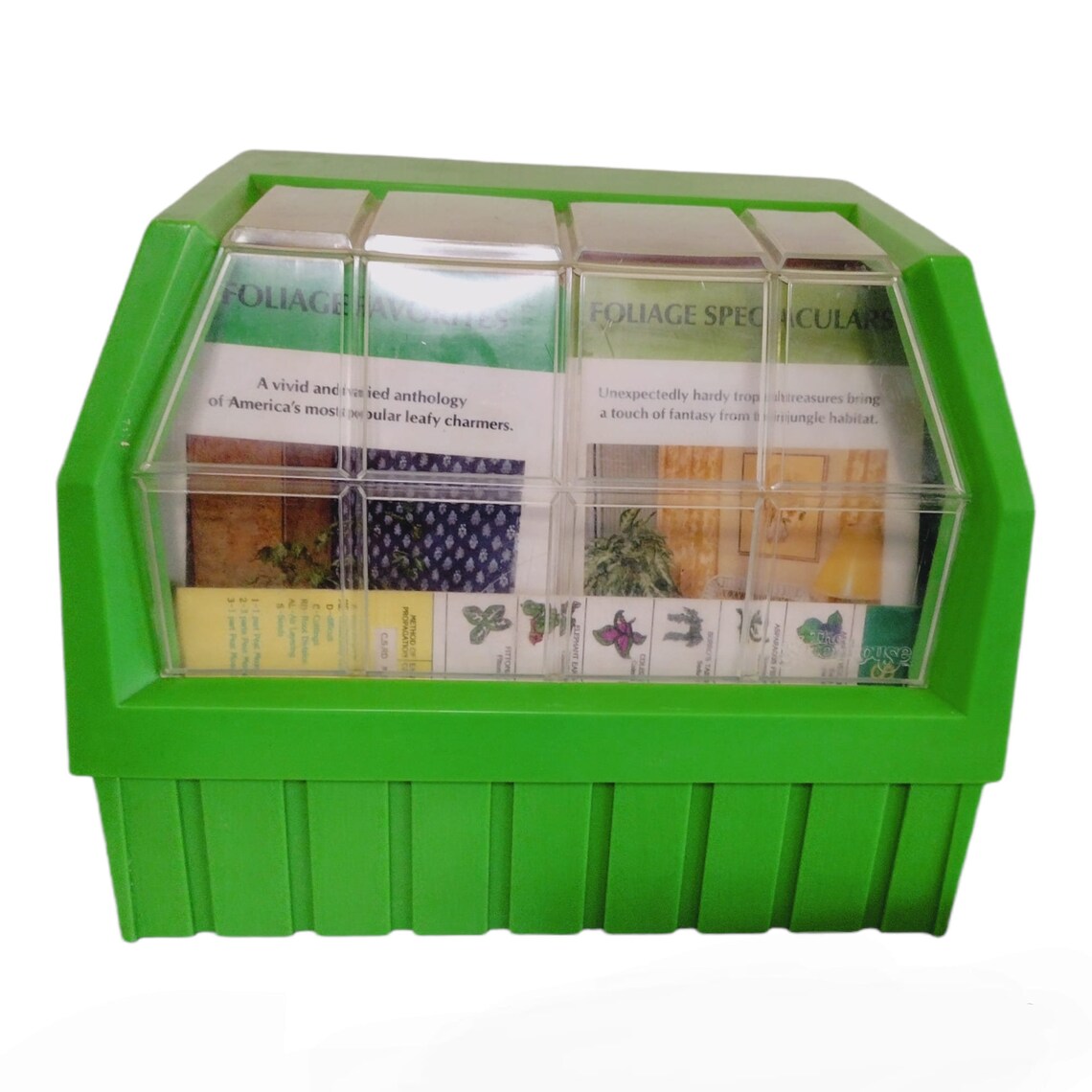 1978 the Greenhouse Plant Card Set Botanical Index Cards Green - Etsy