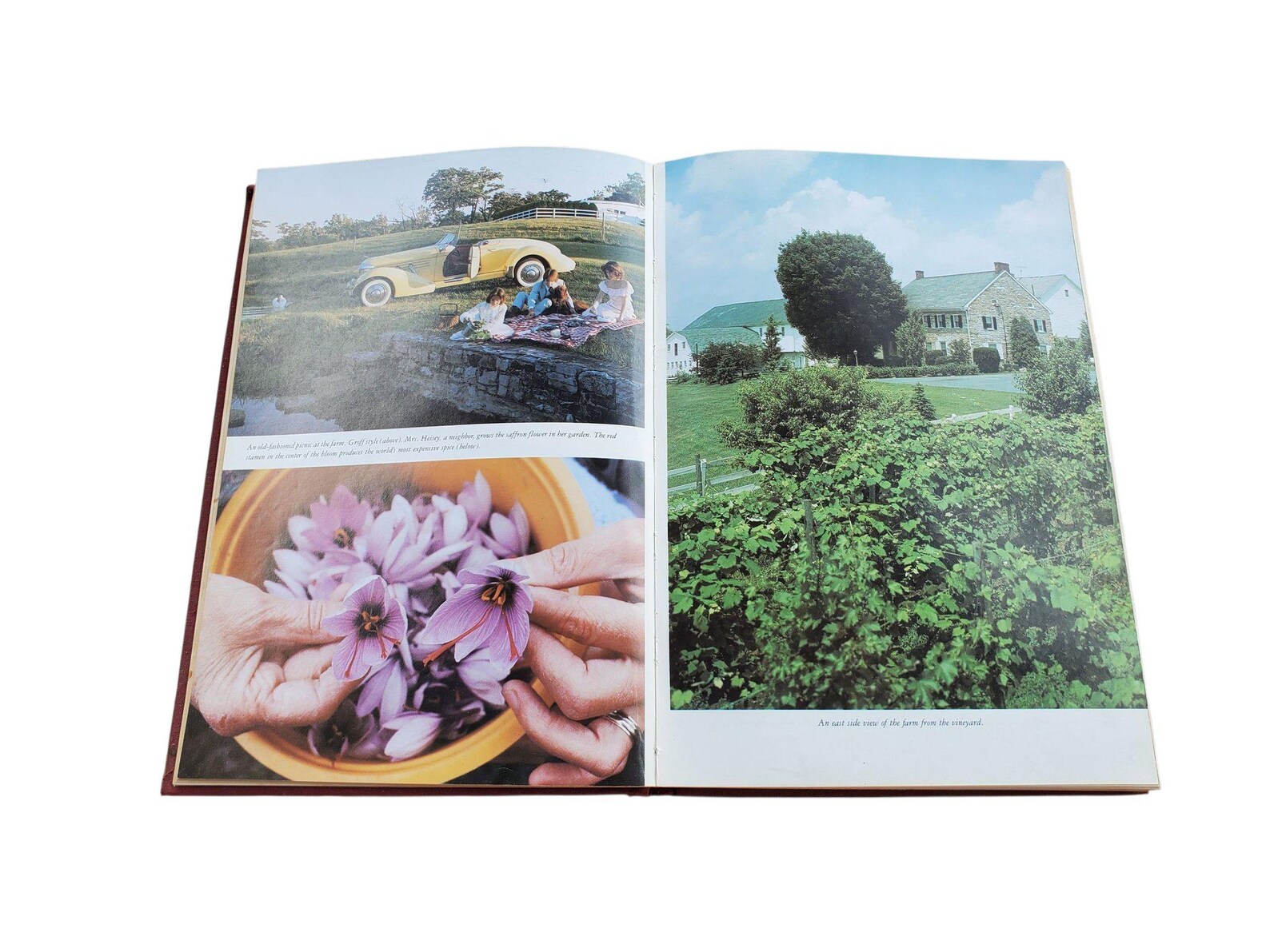 1981 Betty Groff's Country Goodness Cookbook - Etsy