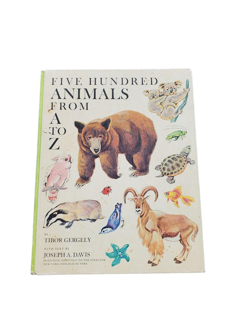 1970 Five Hundred Animals From A to Z Children's Book - Etsy