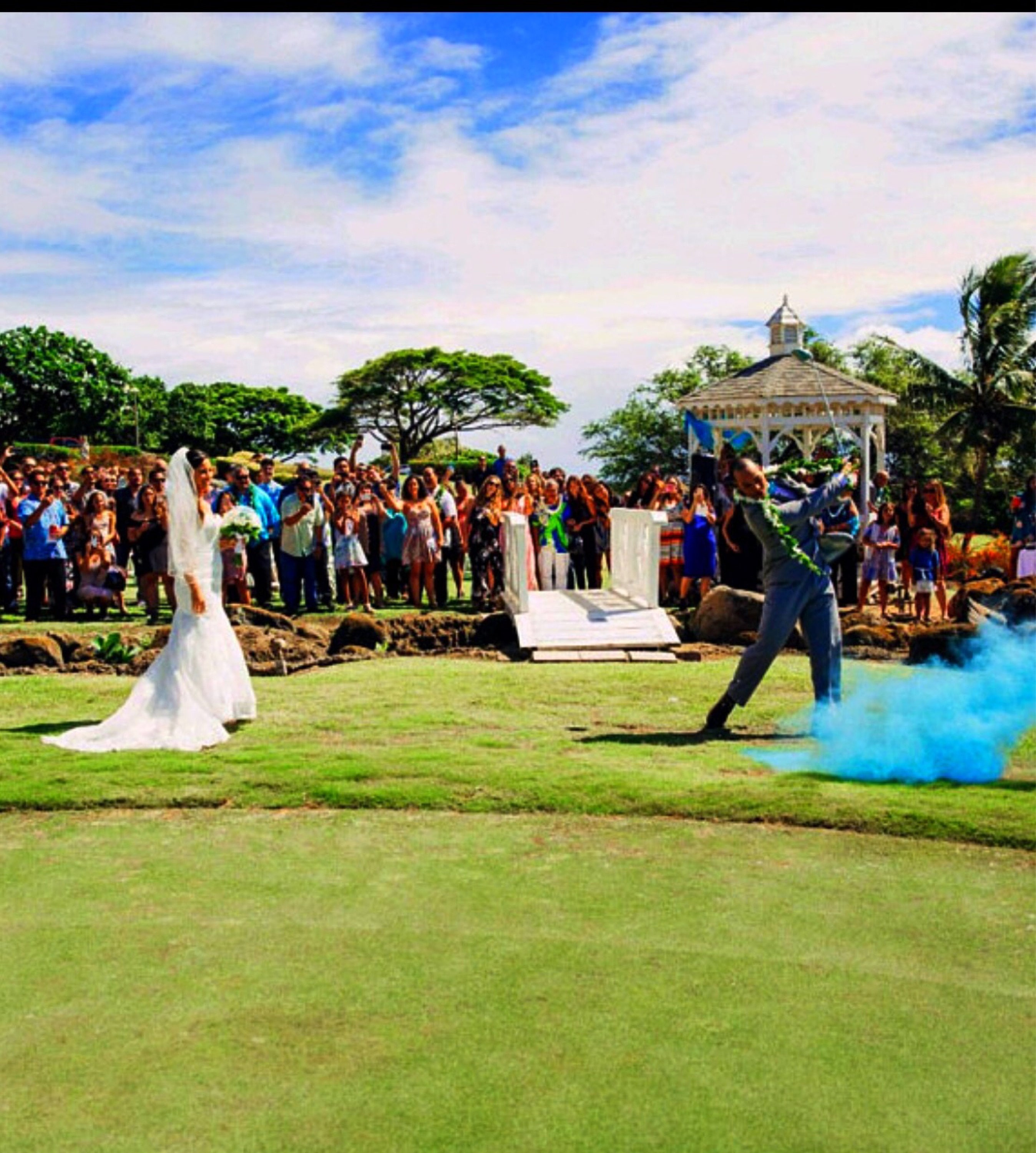 Golf Ball Powder Reveal Golf Ball in Any Color Designed With - Etsy