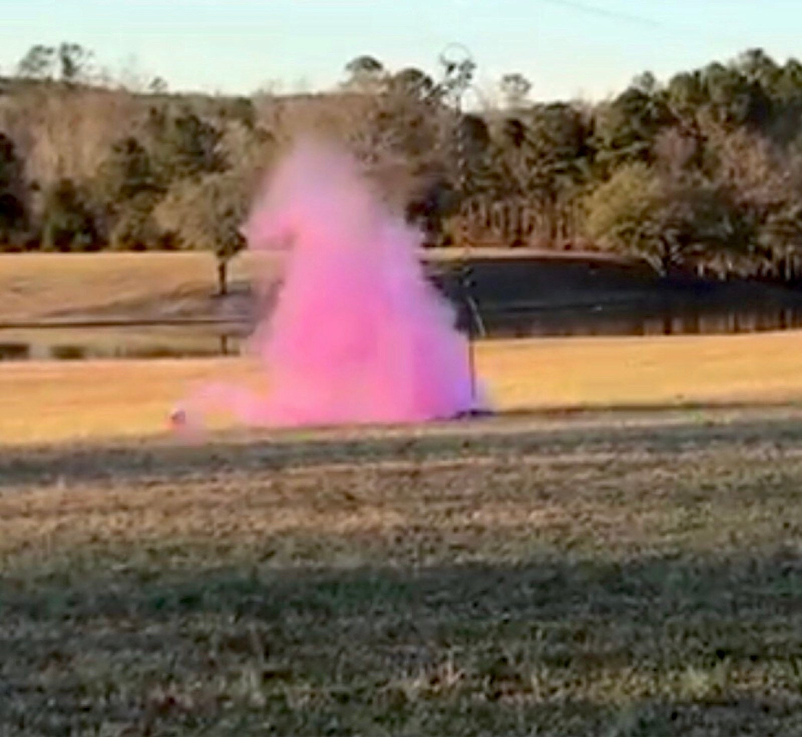 XL Hanging Shooting Target With Powder And/or Confetti Pink - Etsy