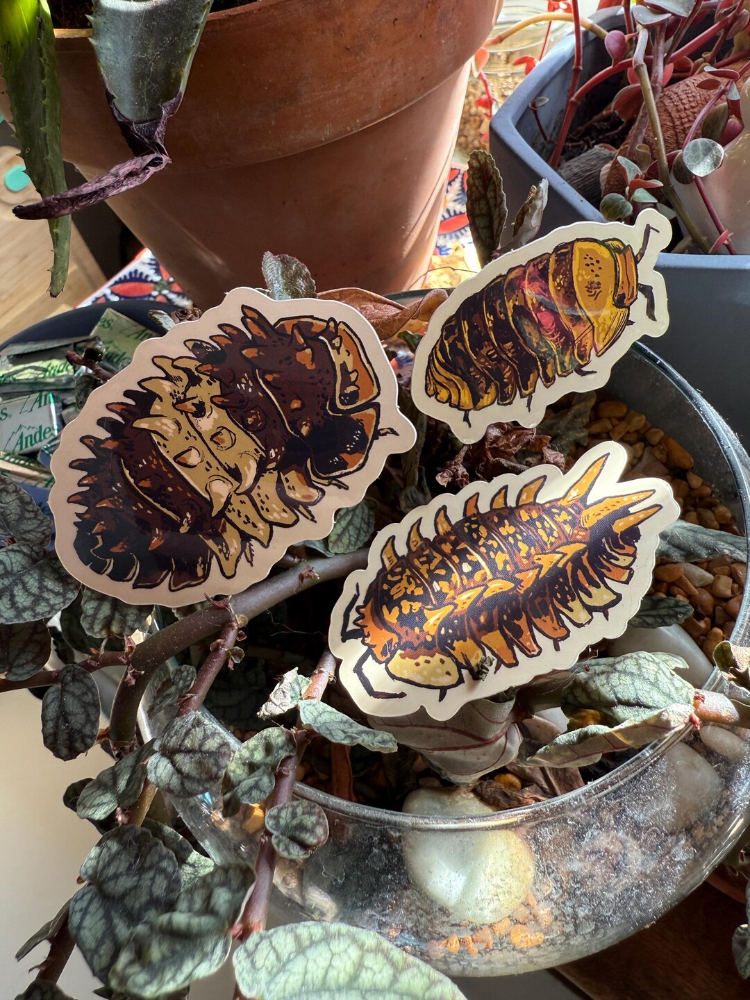 Isopod Sticker Set – Pack of 3 - Etsy