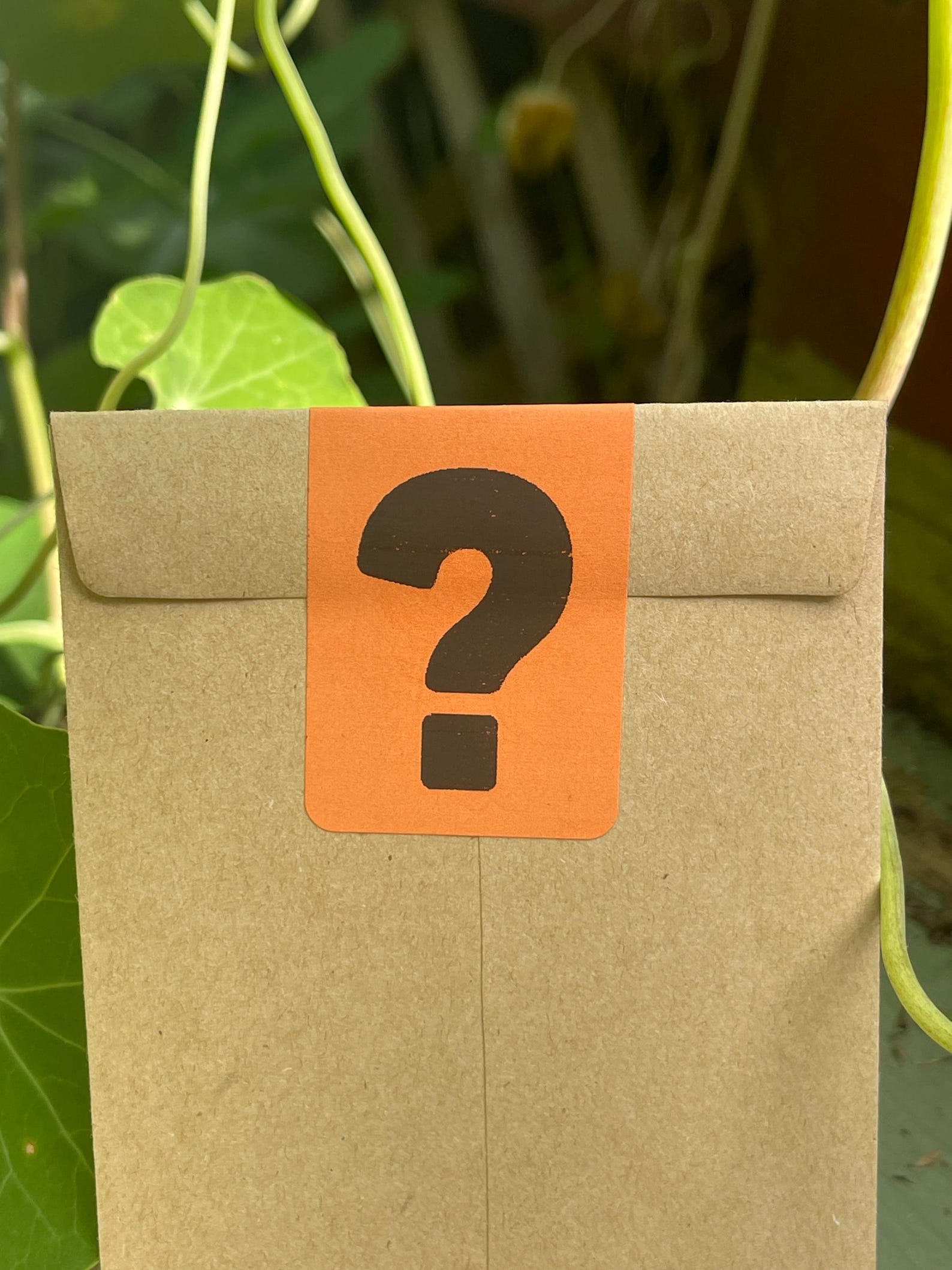 Mystery Jack-o-lantern Sticker | Single Mini Sticker | Collect Them All ...