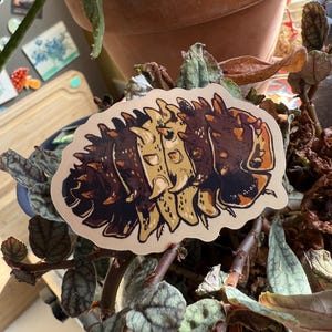 Isopod Sticker Set – Pack of 3 - Etsy