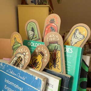 Ex Libris Curiosity Cabinet - Set of 7 Bookplate Stickers - Etsy