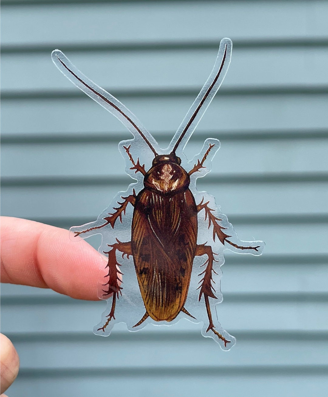 Cockroach Clear Sticker Pack | Life-sized | 3 Pack - Etsy