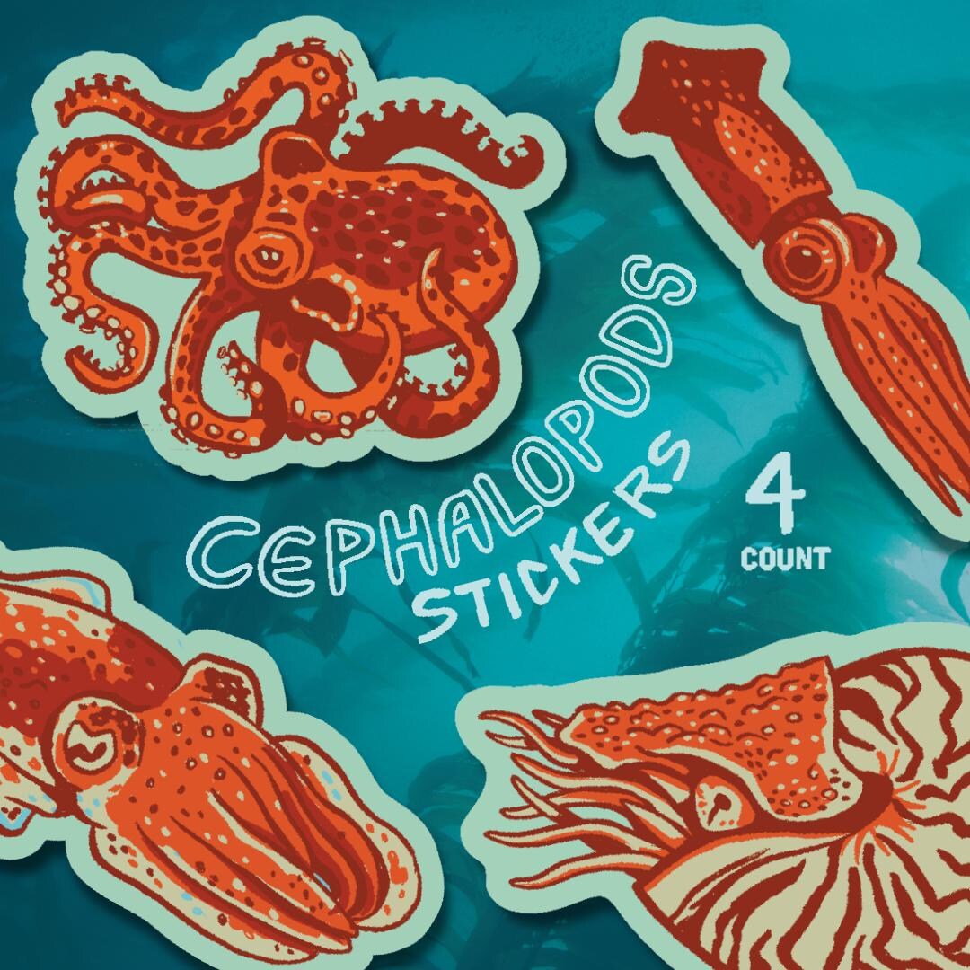 Mini Cephalopod Sticker Pack | 4 Stickers | Octopus - Nautilus - Squid ...