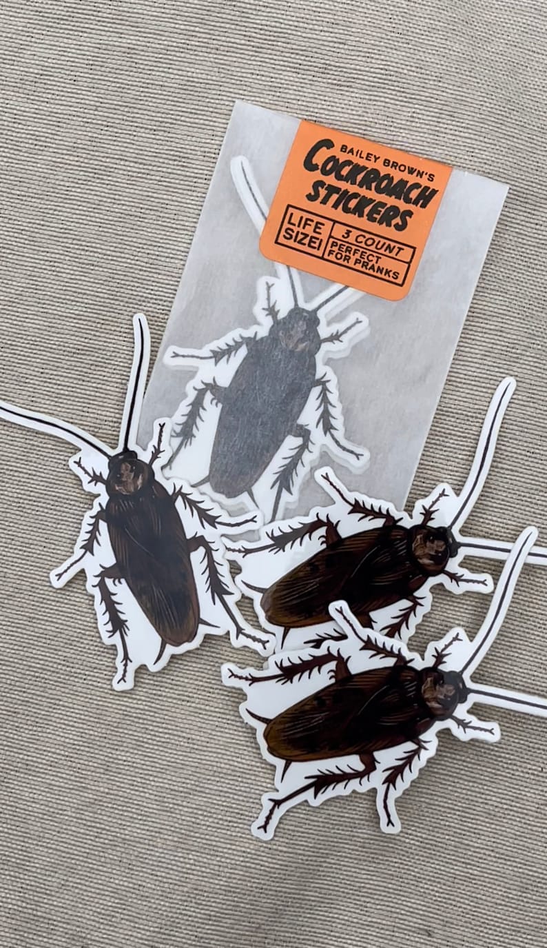 Cockroach Clear Sticker Pack | Life-sized | 3 Pack - Etsy