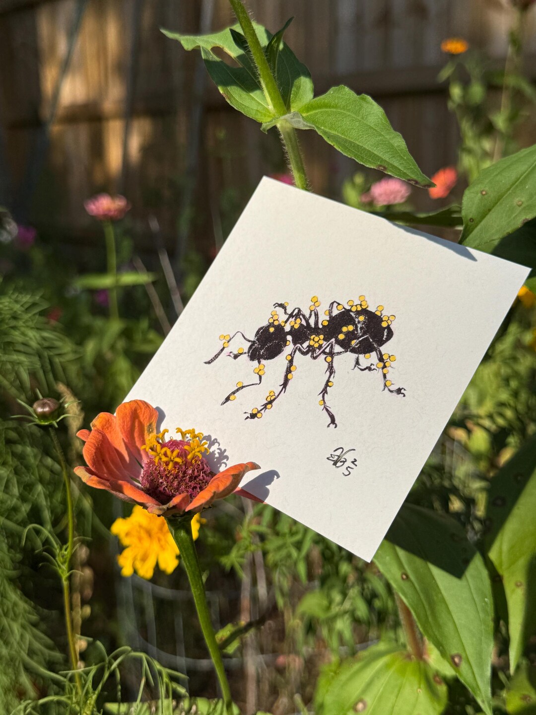 Pollen Collector Print - Etsy