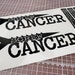 Screw Cancer Decals 2-pack | Etsy