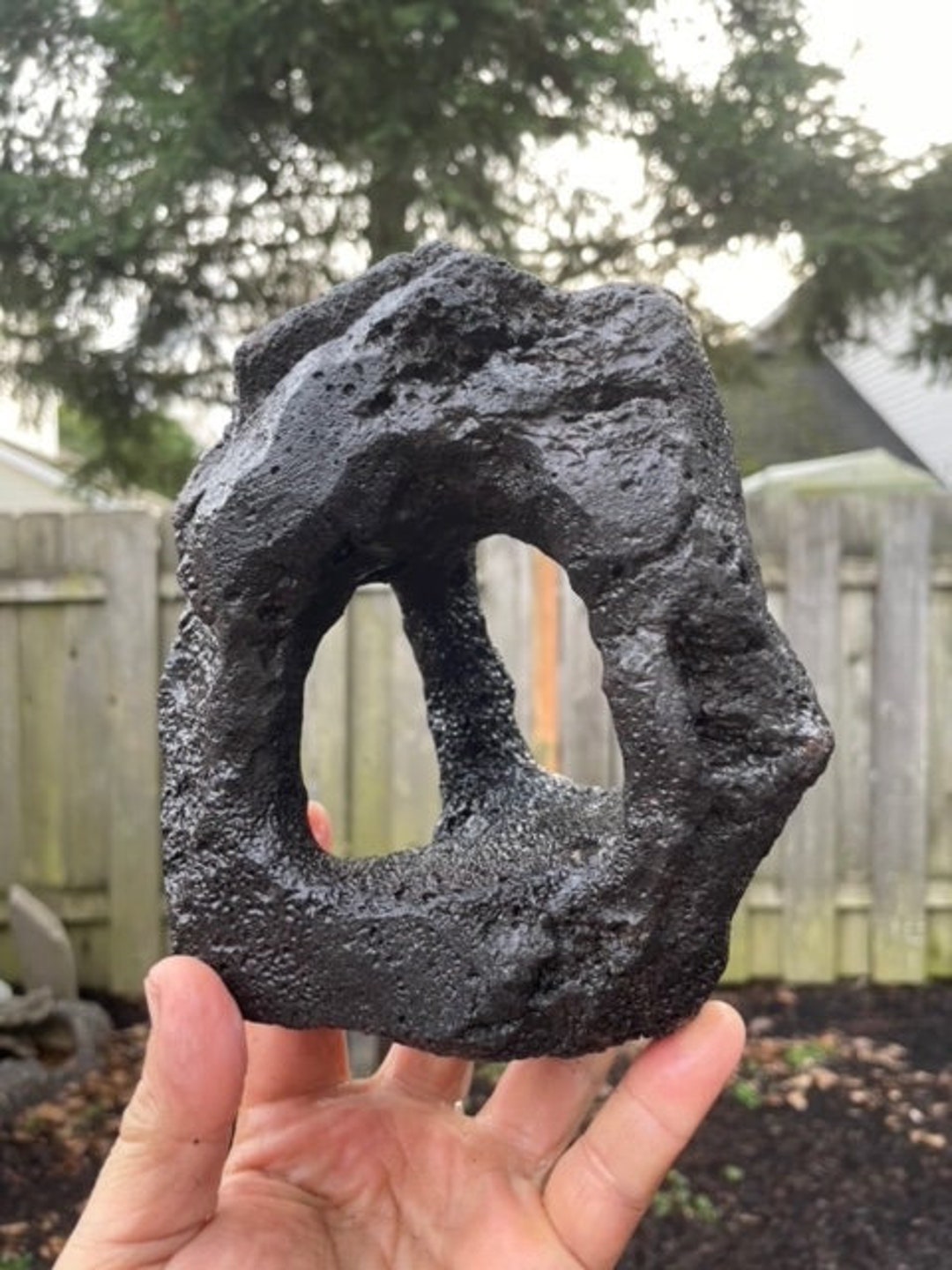 Handcrafted 3-hole Lava Rock Aquarium Cave Sculpture by Alex Nisanian ...