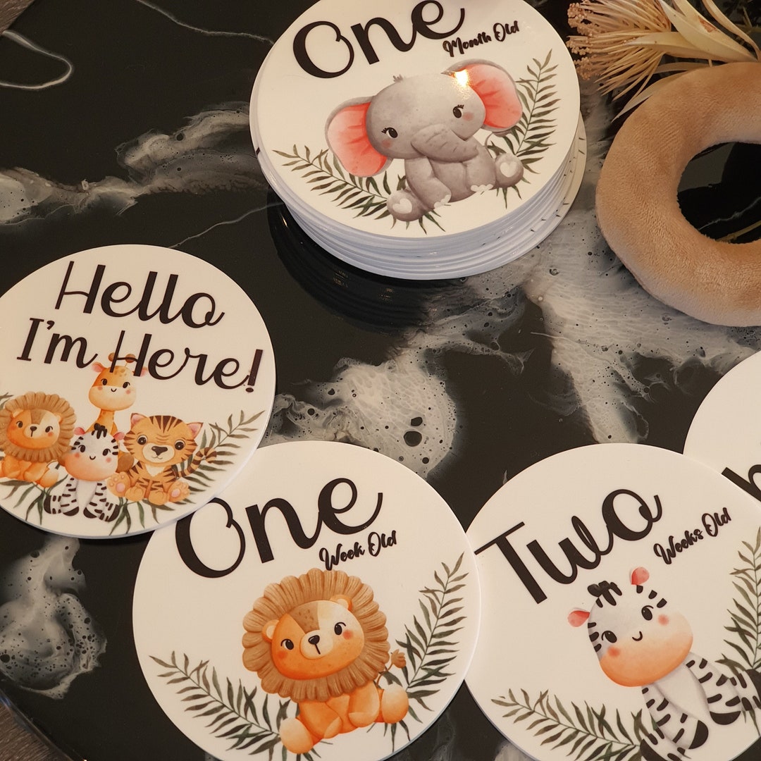 Babys 1st Year Milestone / Photo Discs - Cute Safari Animals - Etsy ...