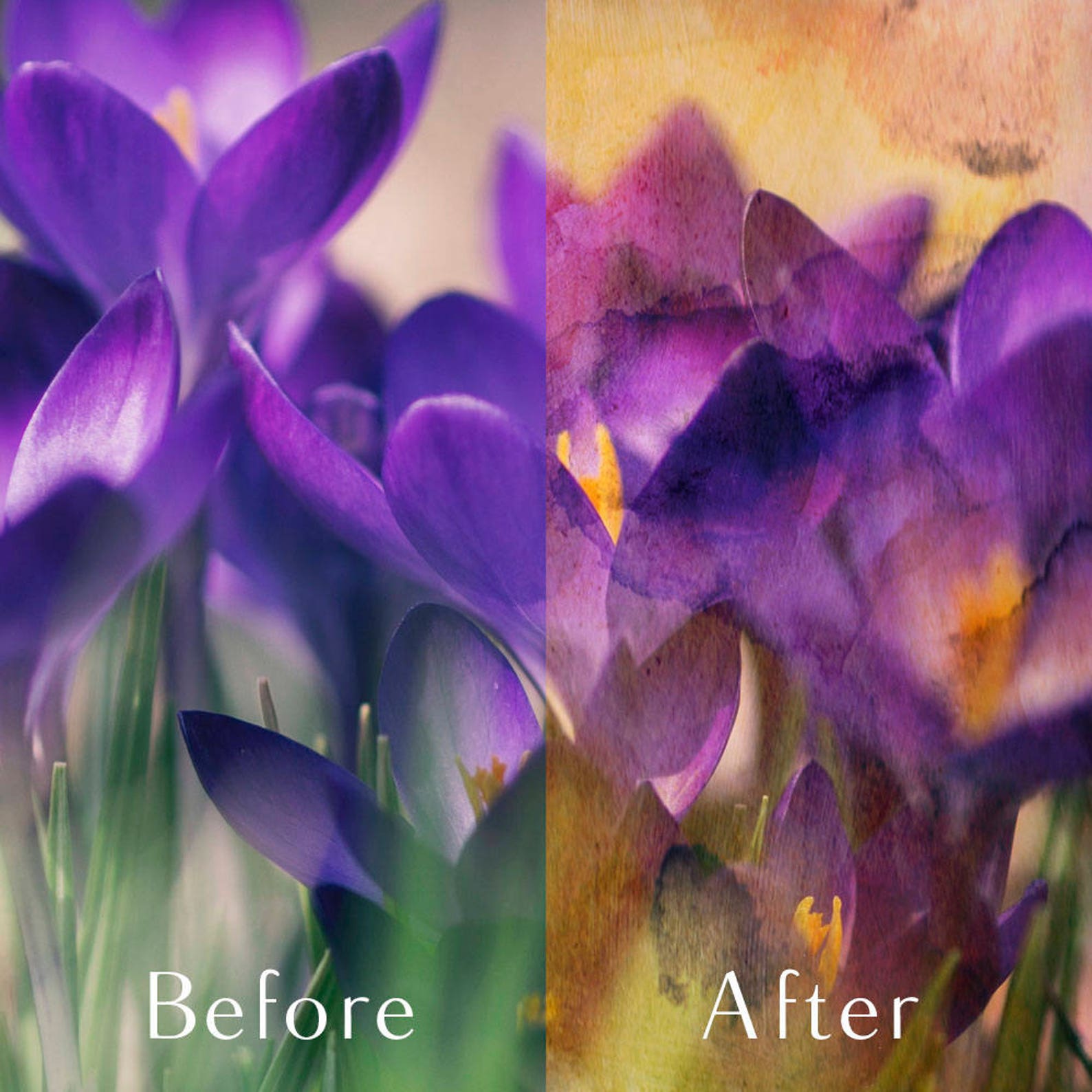20 Watercolor Mottled Meadows Photoshop Textures - Etsy