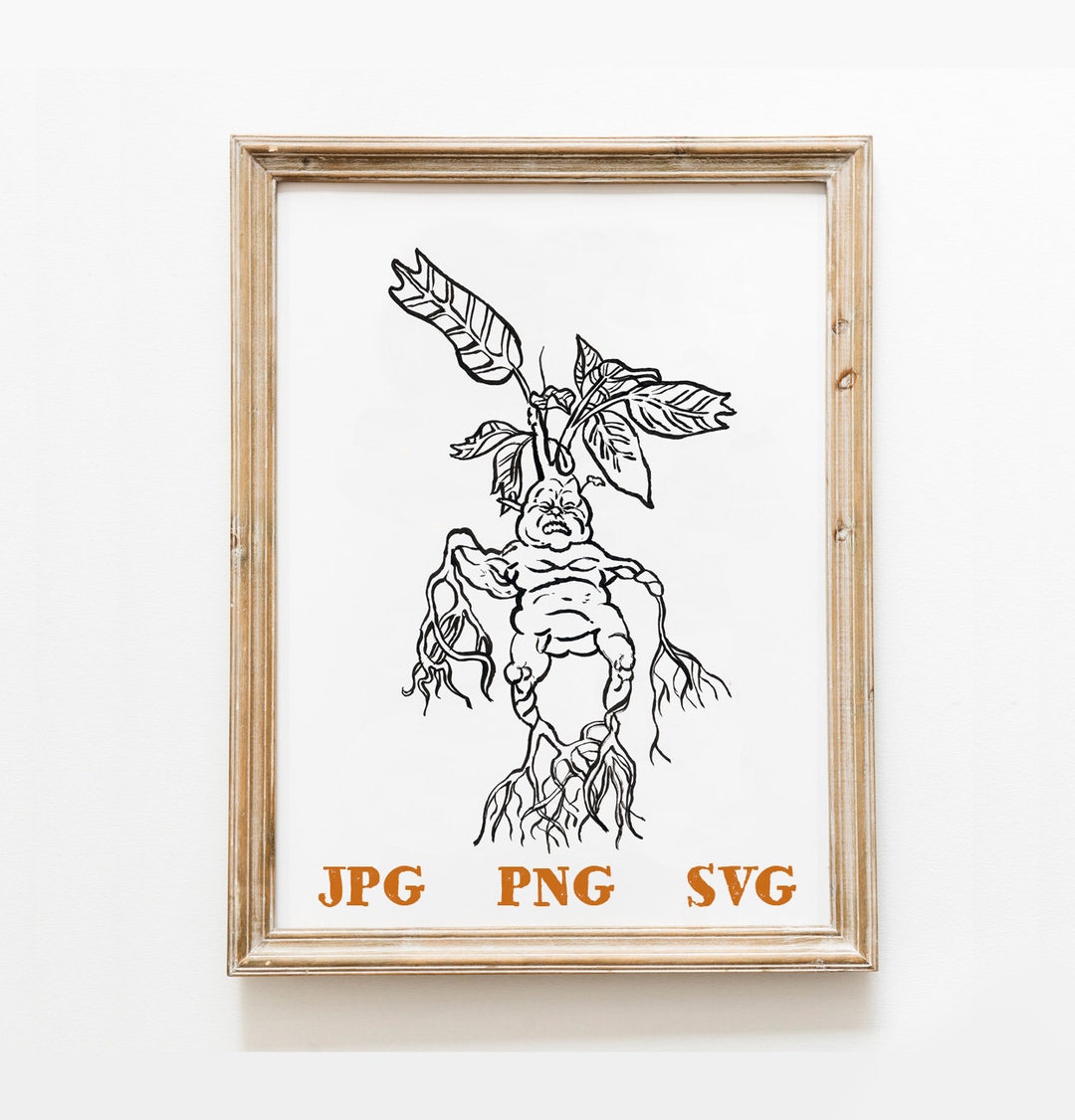 Mandrake Print, Mandragora SVG, Mandrake Png, Mandragora Png, Magic ...