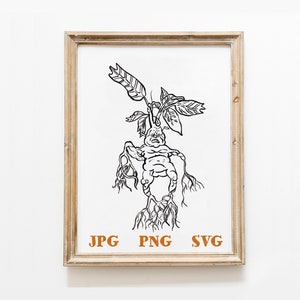 Mandrake Print, Mandragora SVG, Mandrake Png, Mandragora Png, Magic ...