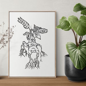 Mandrake Print, Mandragora SVG, Mandrake Png, Mandragora Png, Magic ...