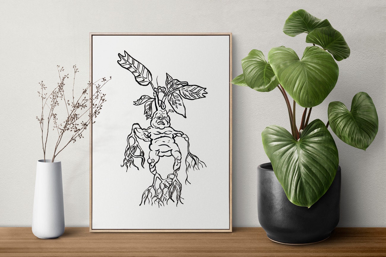 Mandrake Print, Mandragora SVG, Mandrake Png, Mandragora Png, Magic ...