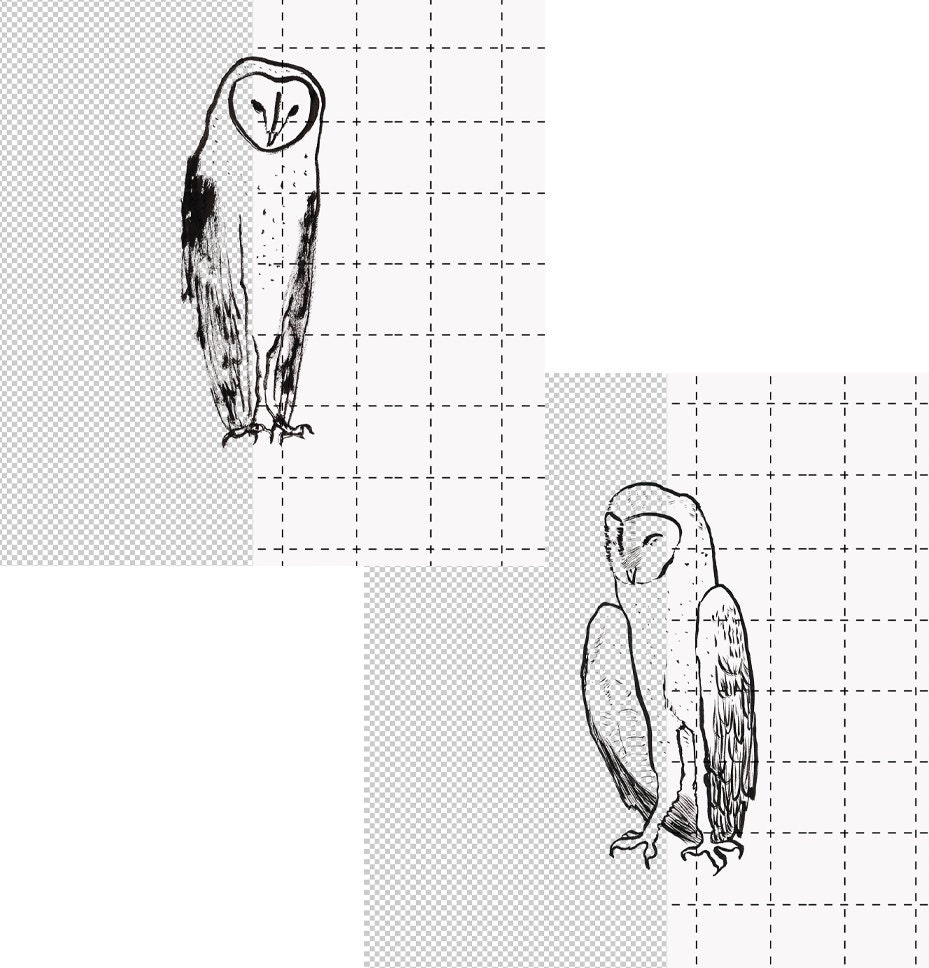 Owl Svg, Owl Png, Owl Outline, Owl Cut File, Owl Clipart, Barn Owl Svg ...