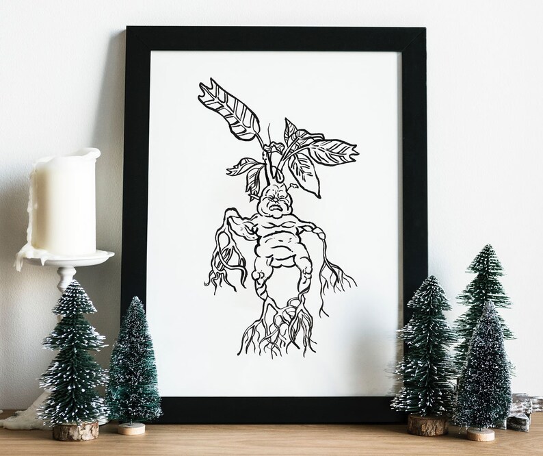 Mandrake Print, Mandragora SVG, Mandrake Png, Mandragora Png, Magic ...