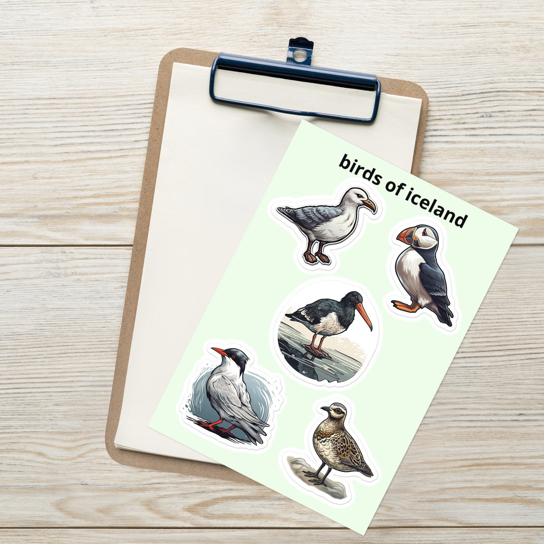 Birds of Iceland Sticker Sheet Ornithology Iceland Gift - Etsy