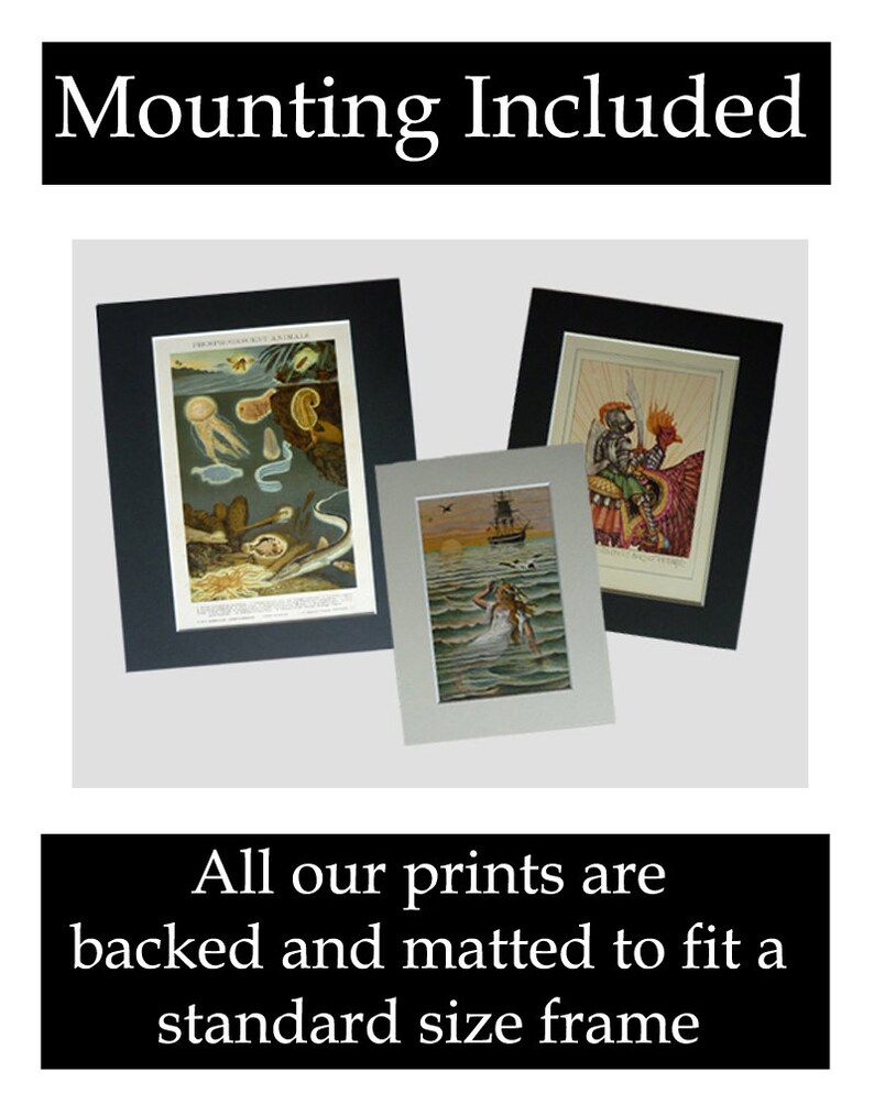 1980s Vintage Pat Booth Print Available Framed Erotic Art | Etsy