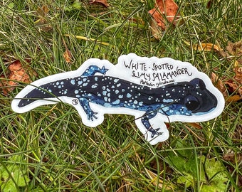 Salamander Stickers - Etsy