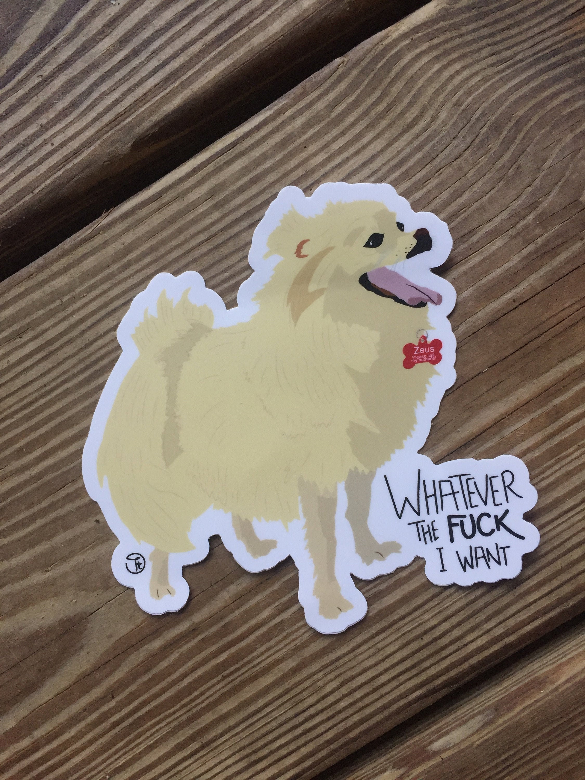 Zeus the Pomeranian Sticker | Cute Dog Decal - Etsy