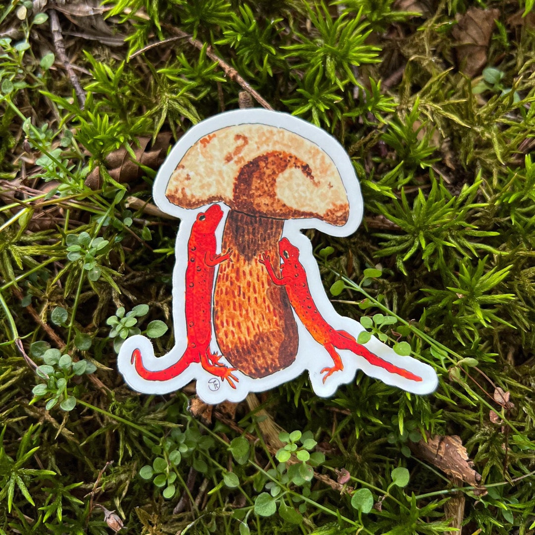 Praising the Mushroom Sticker | Red Eft Salamander Sticker - Etsy