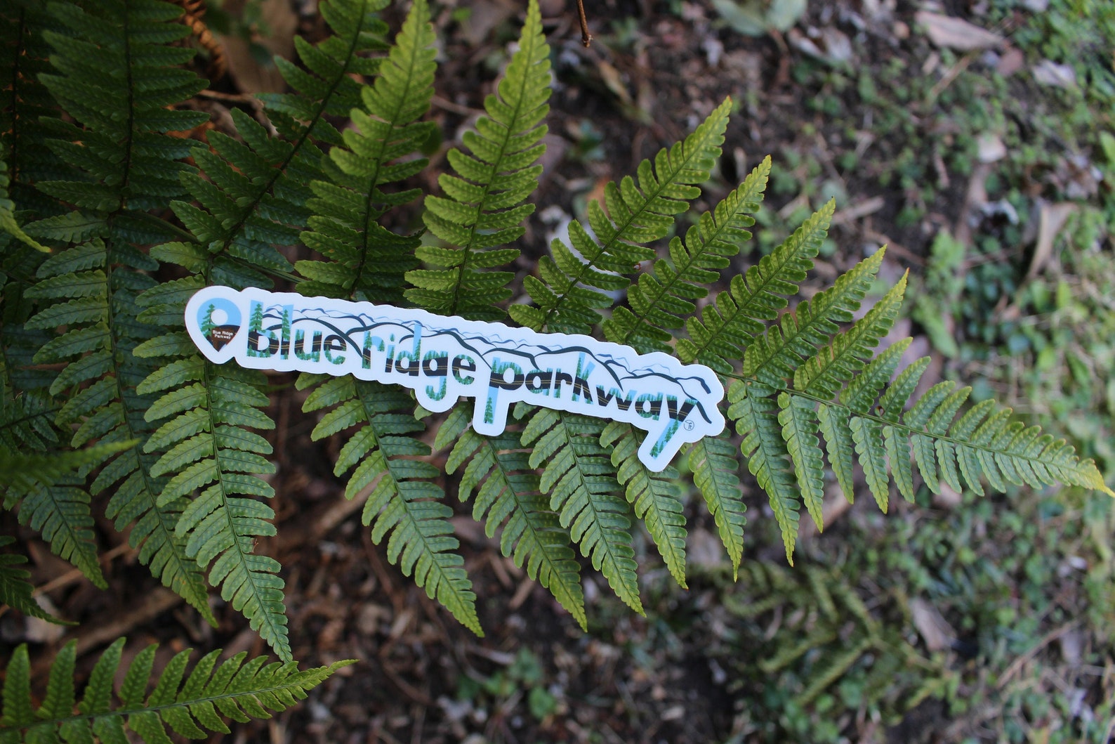 Blue Ridge Parkway Location Sticker National Park Sticker - Etsy
