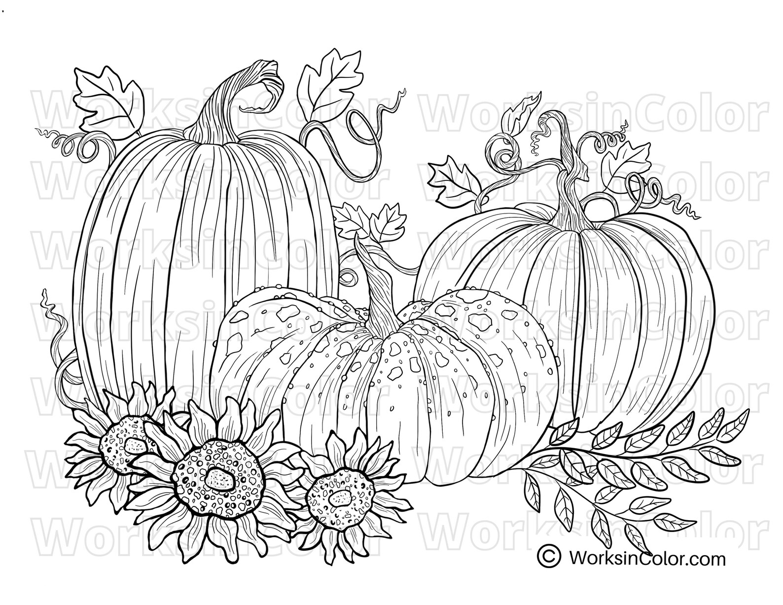 Fall Coloring Assortment, DIGITAL DOWNLOAD, Autumn Coloring Pages ...