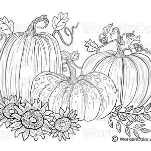 Autumn Coloring Pages, Pumpkins, Sunflowers (digital Download) - Etsy