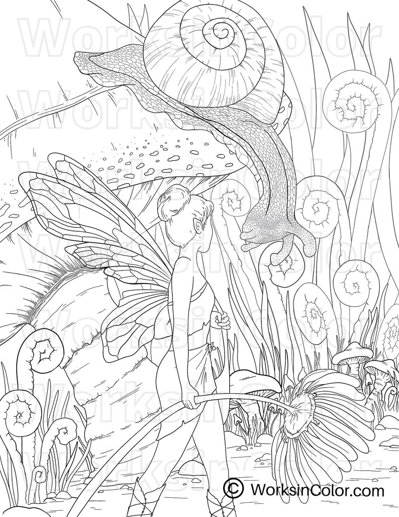 Foraging Fairy Adult Coloring Page, DIGITAL DOWNLOAD, Fantasy Themed ...