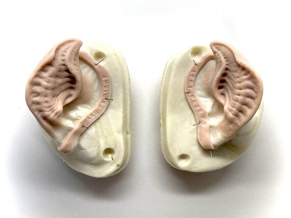 Alien/ Bat Prosthetic Ears - Etsy