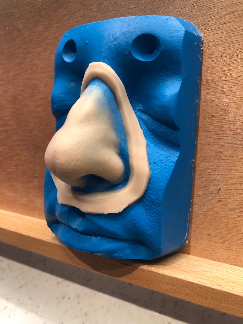 Prosthetic Nose | Etsy