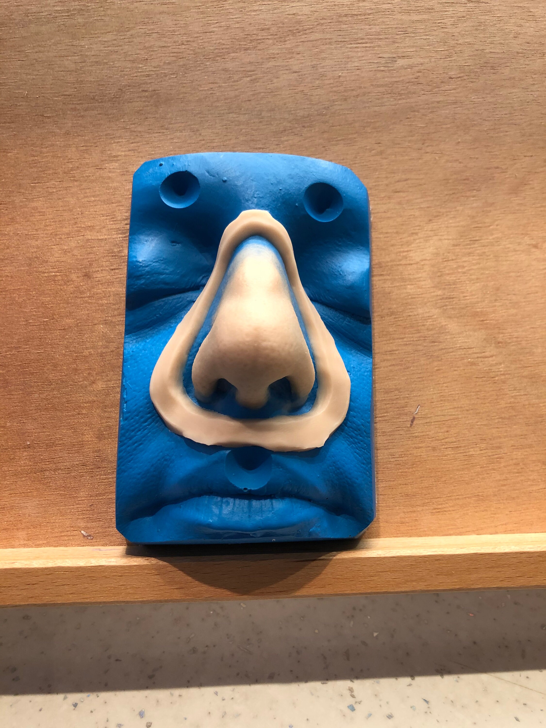 Prosthetic Nose | Etsy