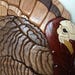 Turkey Intarsia - Etsy