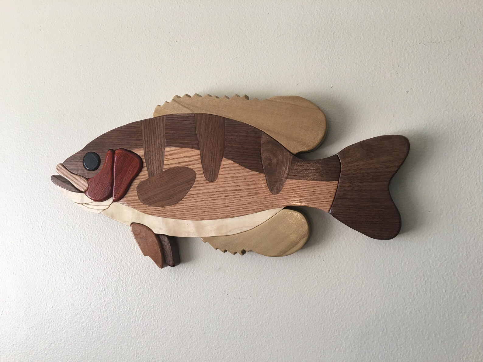 Rock Bass Intarsia Fish - Etsy