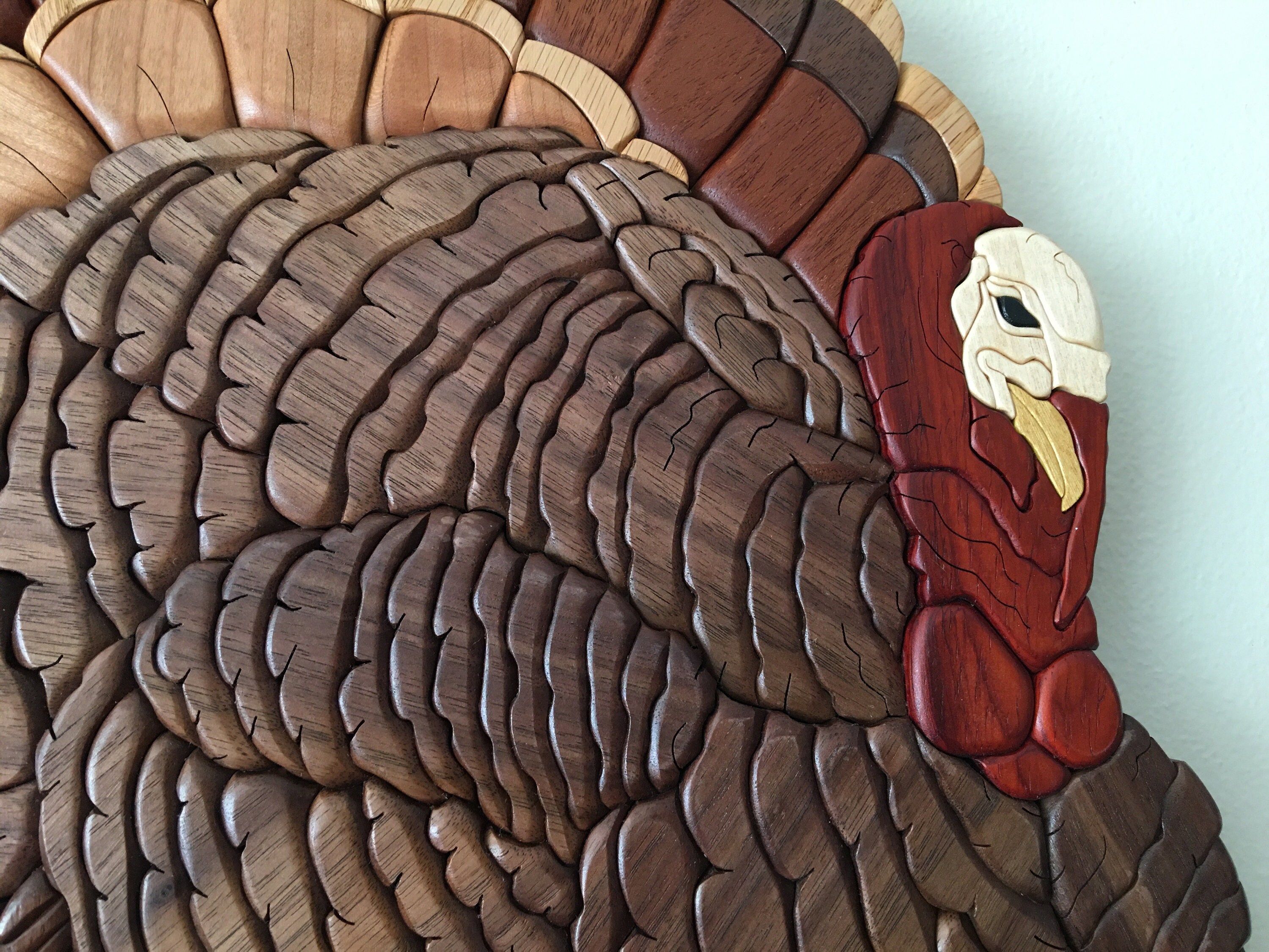 Turkey Intarsia - Etsy