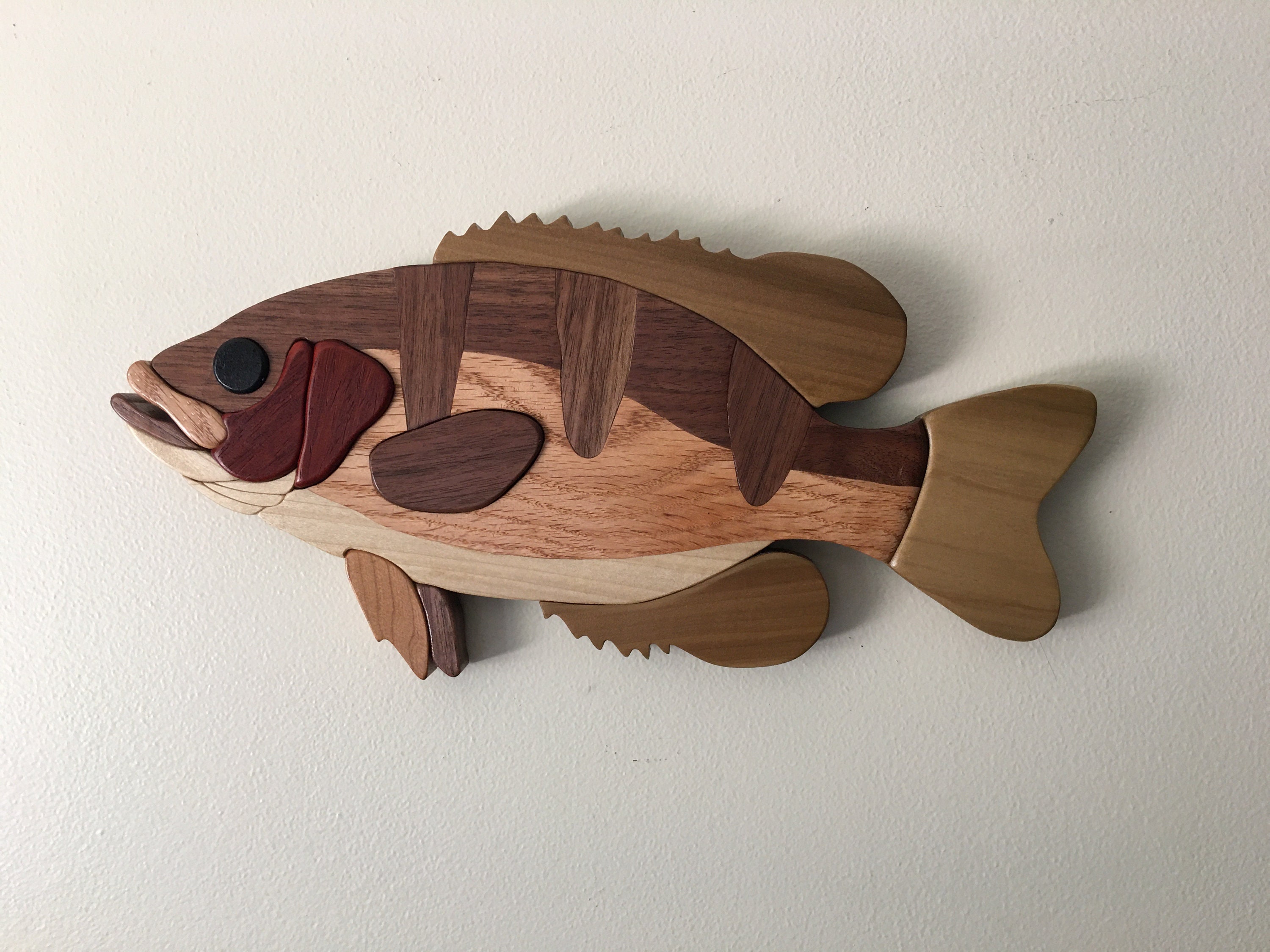 Rock Bass Intarsia Fish - Etsy
